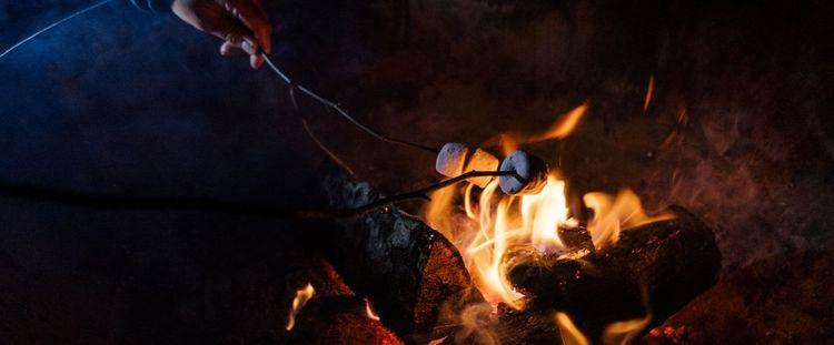 How to create the ultimate campout | Canopy & Stars