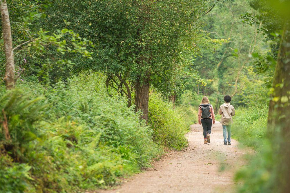 Our favourite walks in Shropshire with amazing views | Canopy & Stars