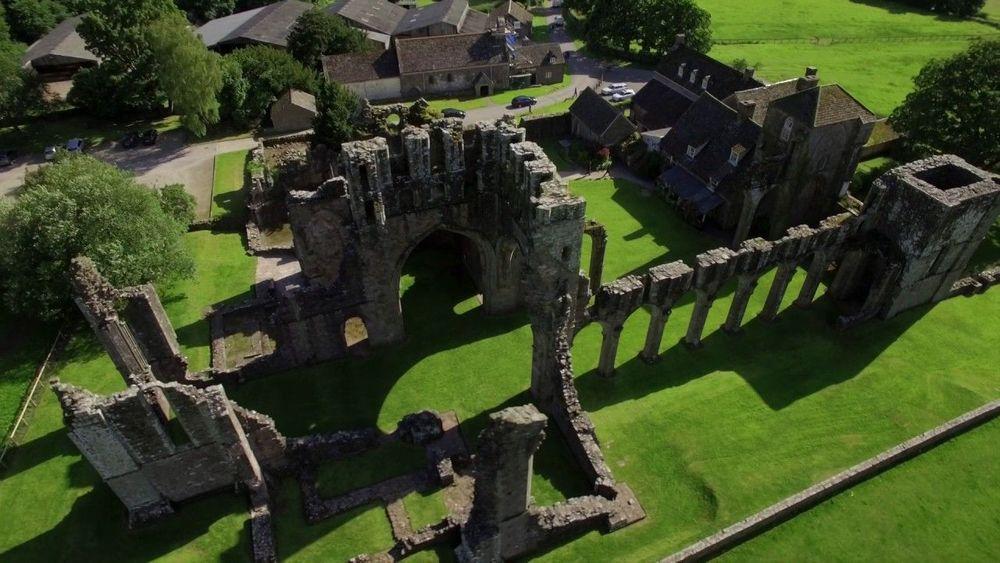 Wild with flavour | Canopy & Stars