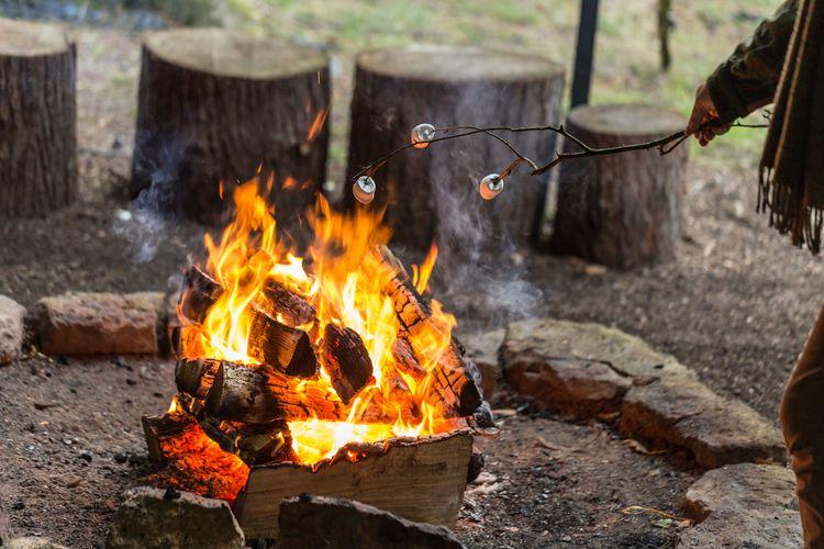 Spooky, scary and strange | Canopy & Stars