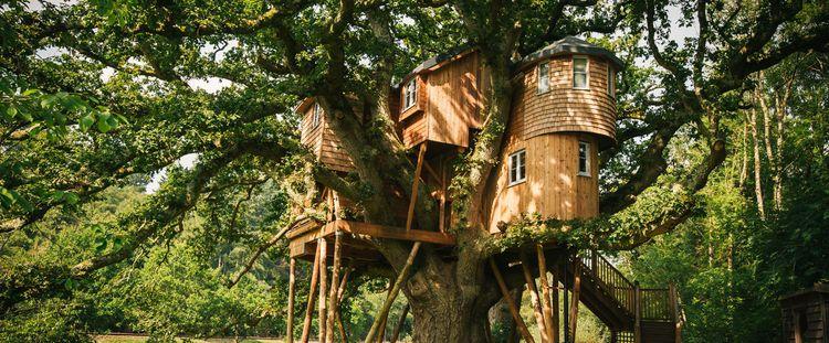 10 inspiring treehouses in the UK | Canopy & Stars