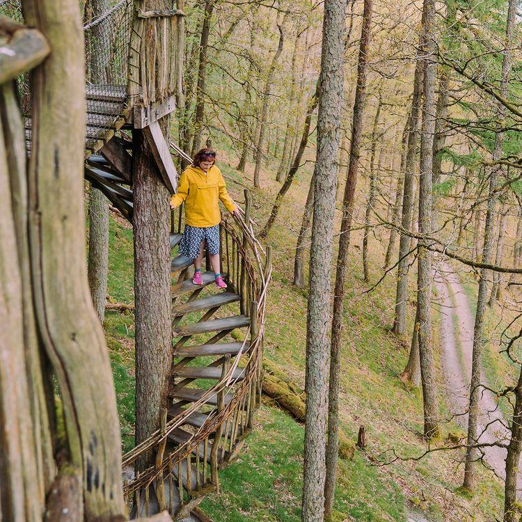 The Canopy & Stars Wild 100 | Canopy & Stars