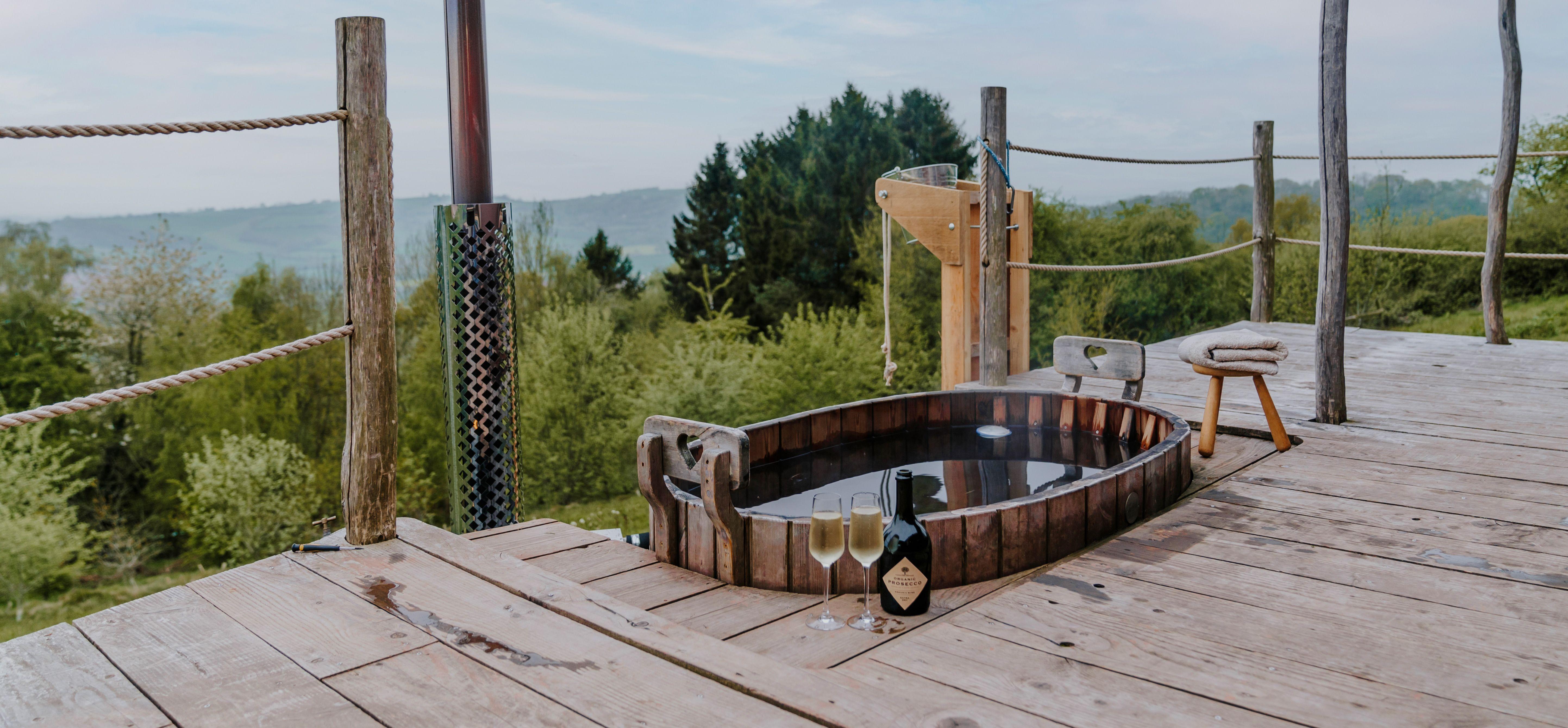 Find Your Wild | Canopy & Stars