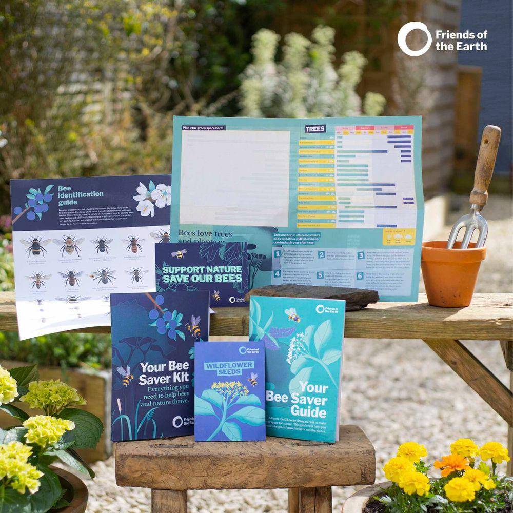 5 easy ways to help the bees | Canopy & Stars