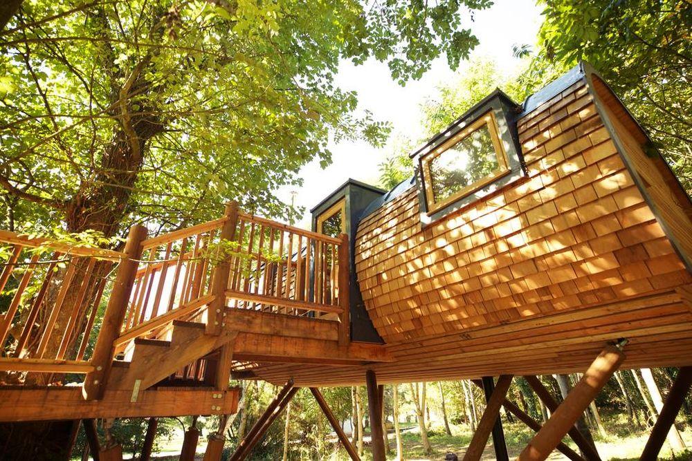 Our favourite treehouses in Devon | Canopy & Stars