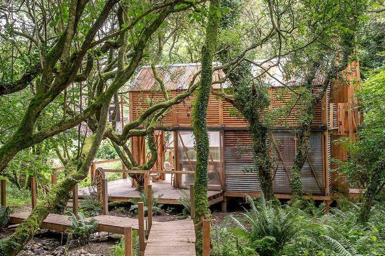 Glamping in Cornwall | Canopy & Stars