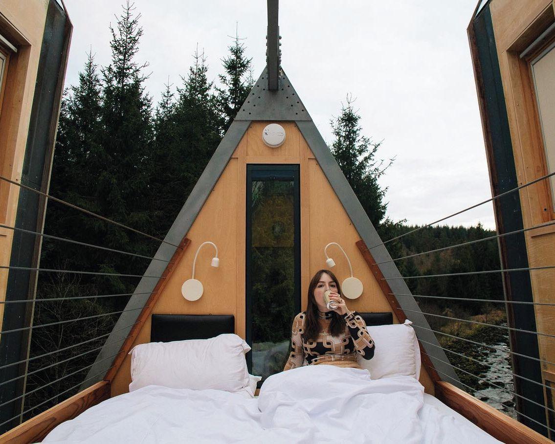 Find Your Wild | Canopy & Stars