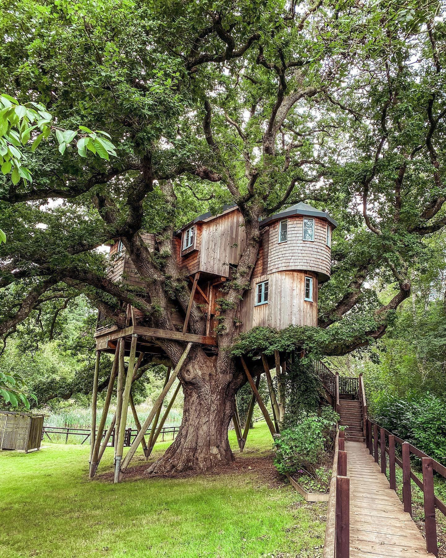 Find Your Wild | Canopy & Stars