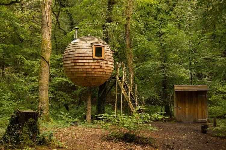 Our favourite treehouse stays in Cornwall | Canopy & Stars