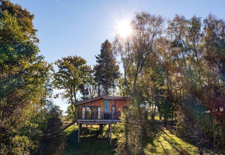 Our favourite treehouses in Scotland | Canopy & Stars
