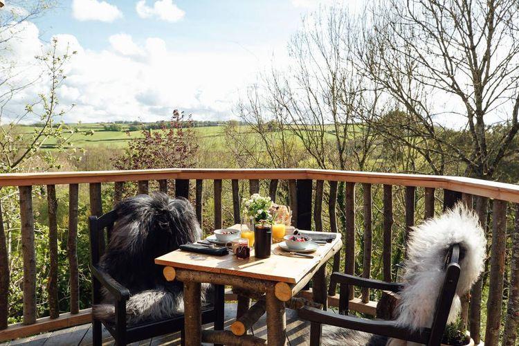 Our favourite treehouses in Devon | Canopy & Stars