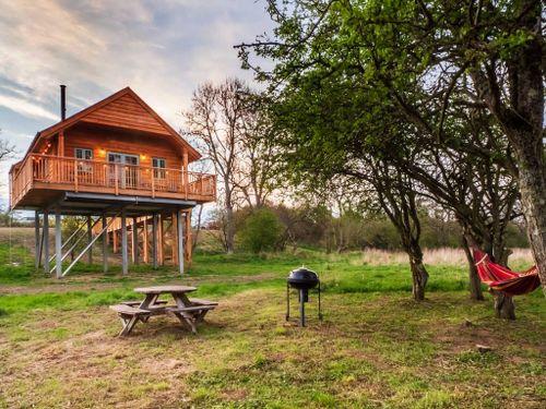 Experience the beauty of Scotland from a treehouse | Canopy & Stars