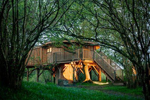 Treehouses in Wales | Canopy & Stars