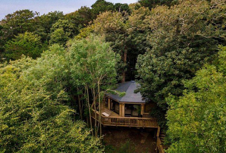 Our favourite treehouses in Devon | Canopy & Stars