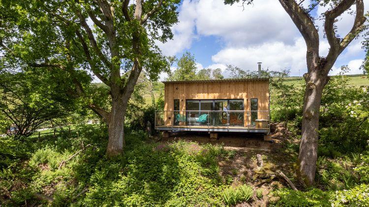 Treehouses in Devon | Canopy & Stars