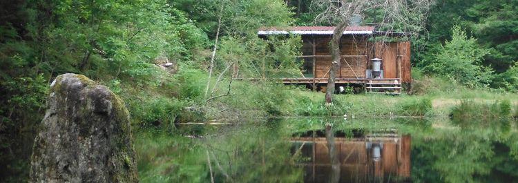 Budget-friendly cabins | Canopy & Stars