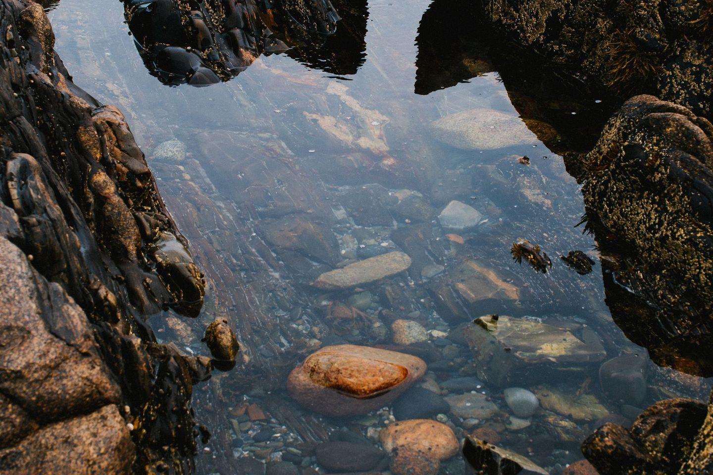 I've swam in every tidal pool in Britain, these are my favourites ...