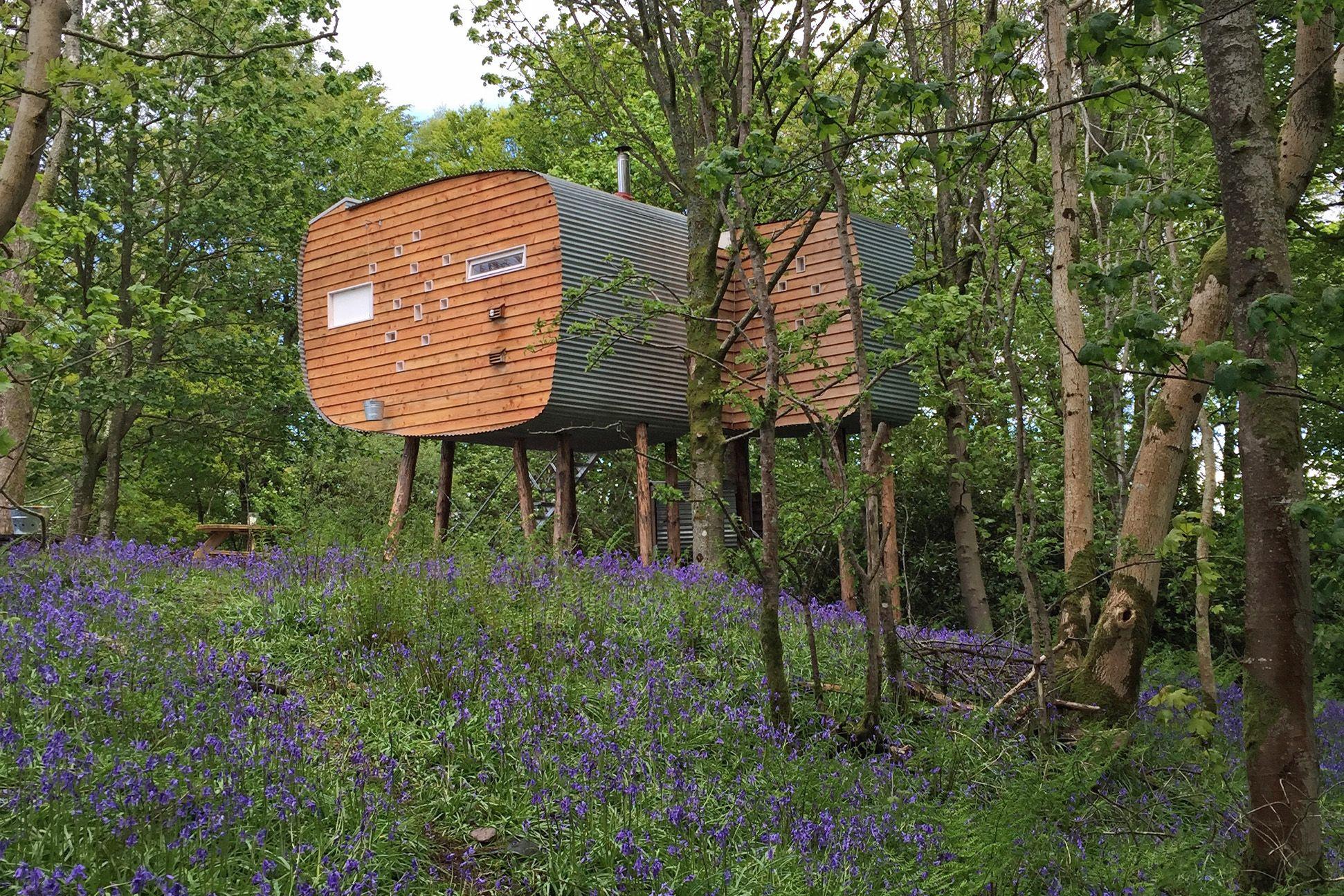 Best glamping places to stay in bluebell season | Canopy & Stars