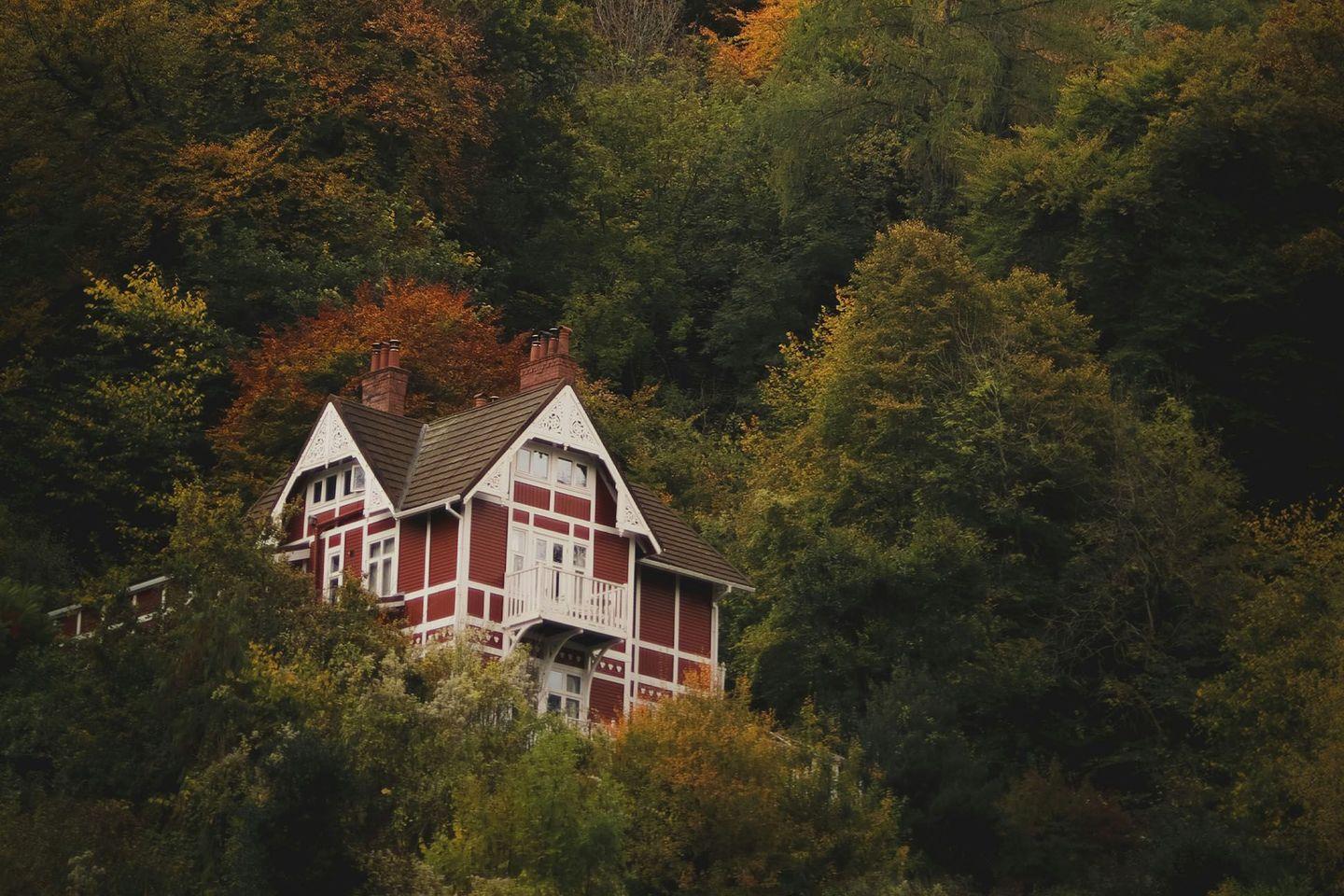 Cabins for exploring famous film and tv locations | Canopy & Stars