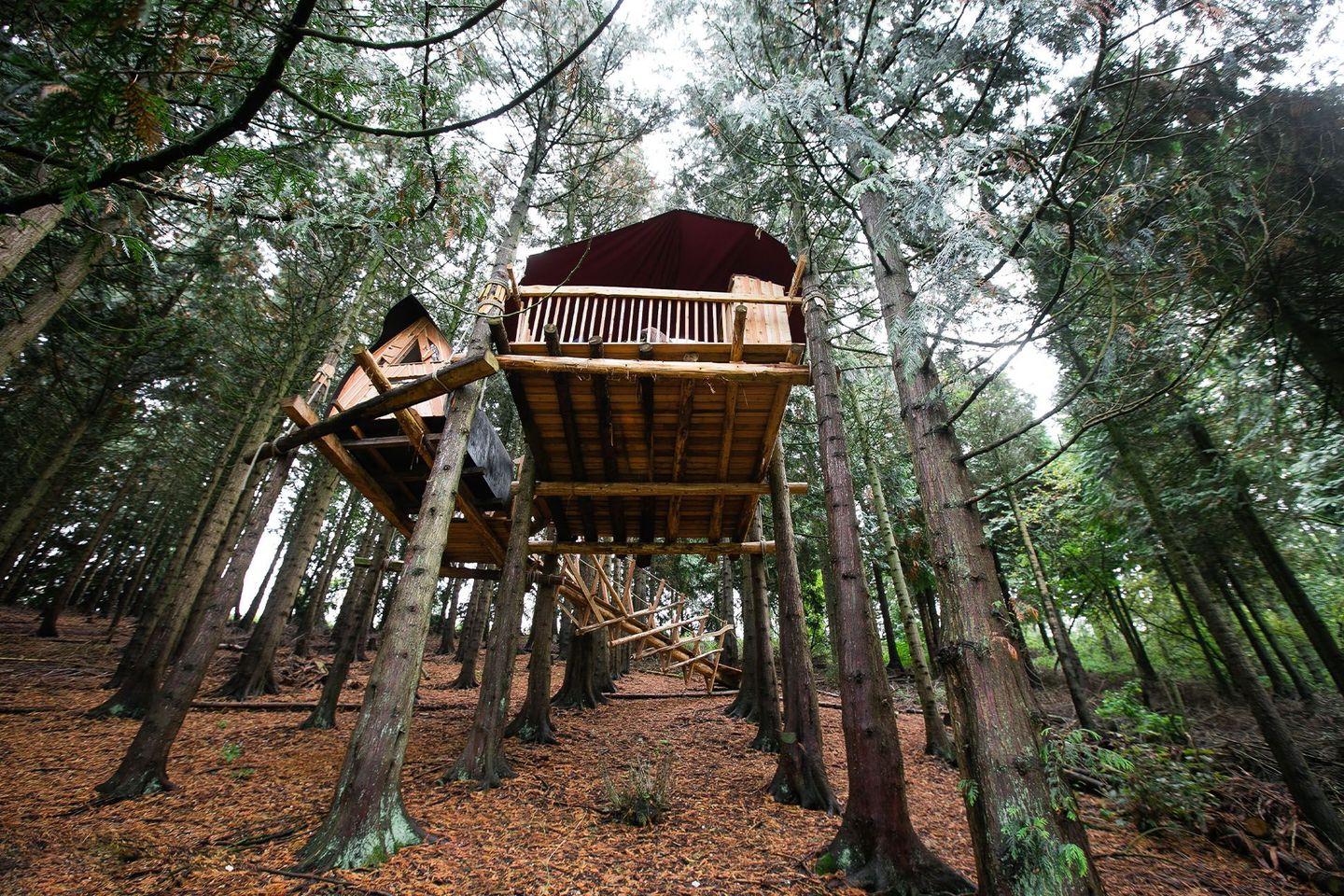 Guest story: A sustainable travel adventure to Puckshipton Treehouse ...