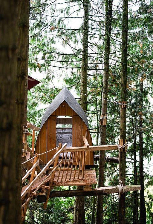 Guest story: A sustainable travel adventure to Puckshipton Treehouse ...