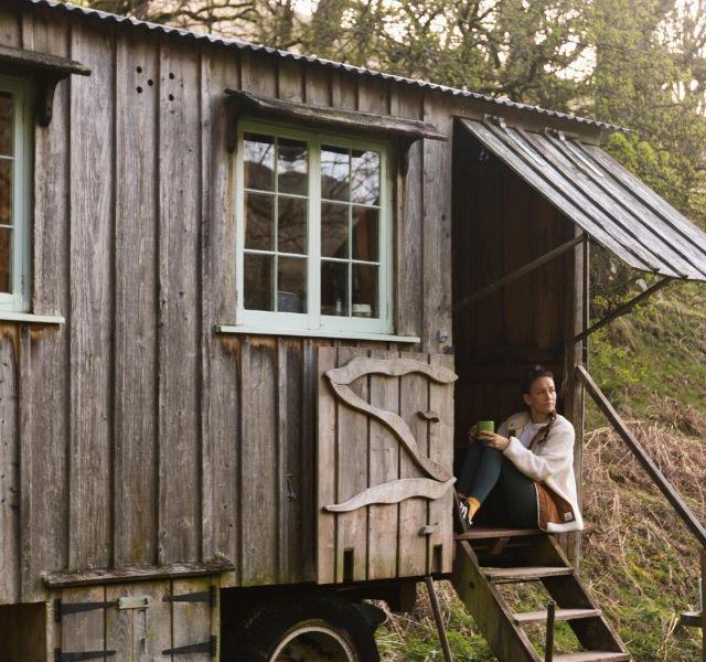 In the press | Canopy & Stars