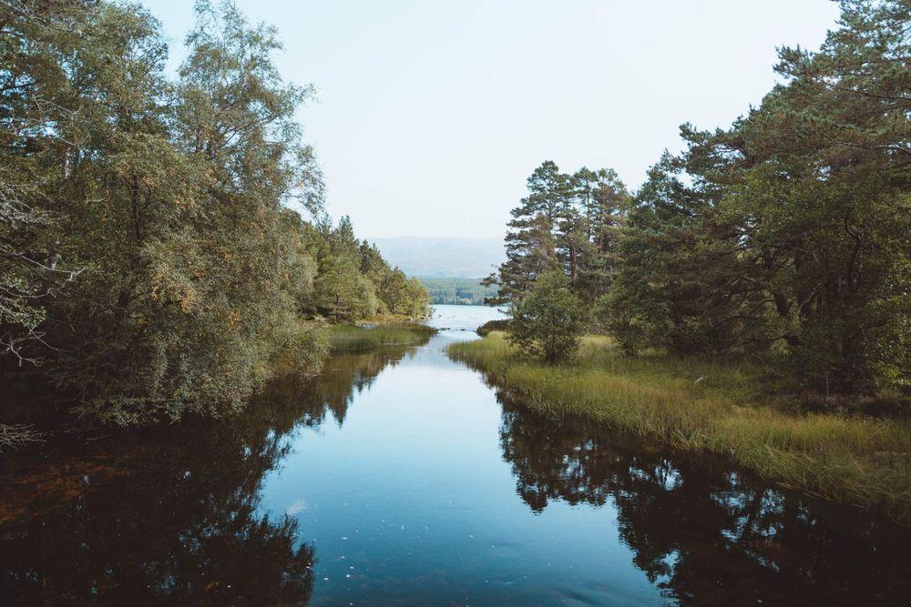 Just add water: the secret wellbeing ingredient | Canopy & Stars