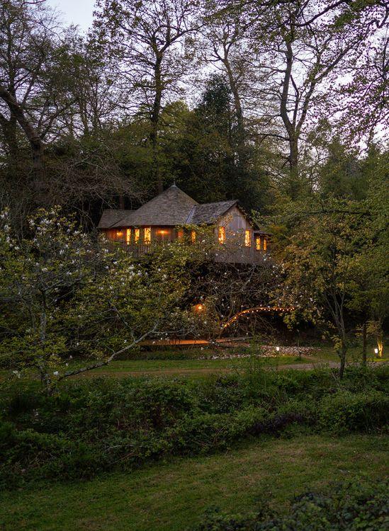 Treehouse stays within 2 hours of London | Canopy & Stars