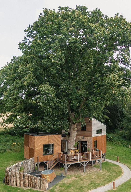Treehouse holidays | Canopy & Stars