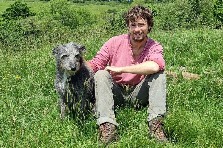 Find Your Wild | Canopy & Stars