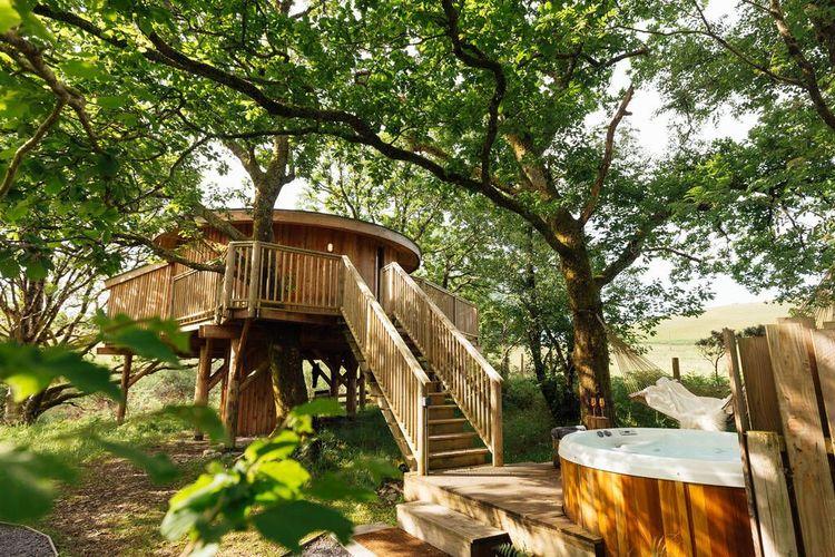 Treehouse holidays in Wales | Canopy & Stars