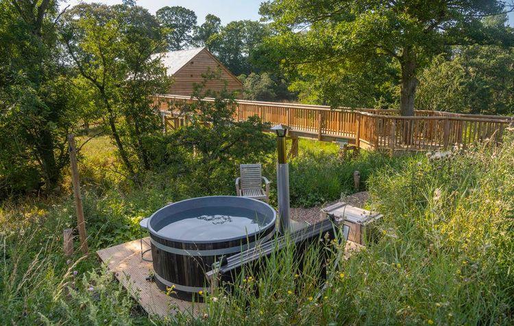 Our favourite treehouses in Scotland | Canopy & Stars