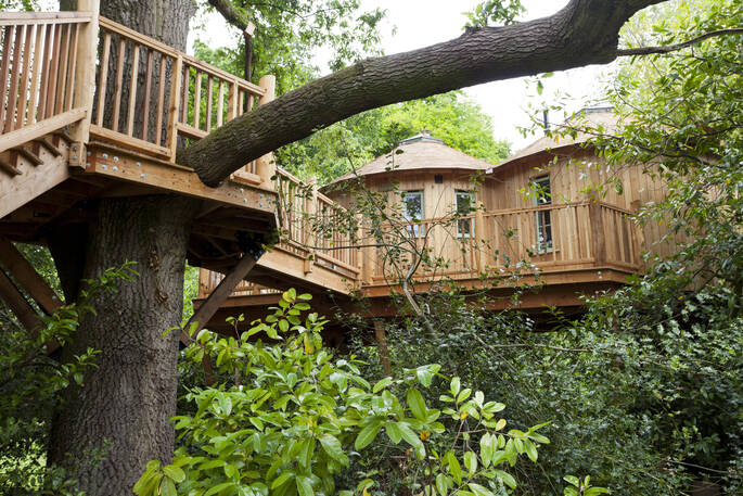 Harptree Tree House | Treehouse in Bath & N.E. Somerset | Canopy & Stars