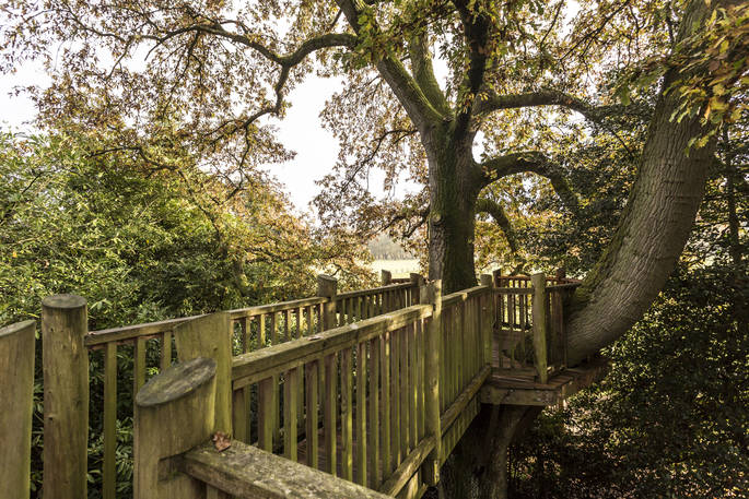 Harptree Tree House | Treehouse in Bath & N.E. Somerset | Canopy & Stars