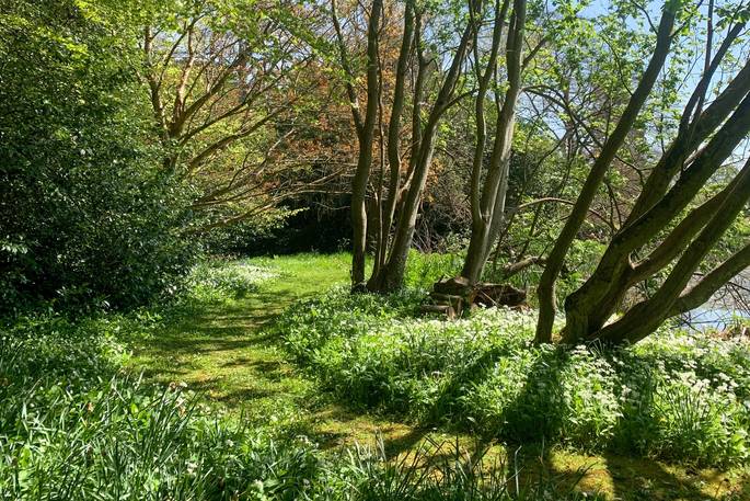 Harptree Tree House | Treehouse in Bath & N.E. Somerset | Canopy & Stars