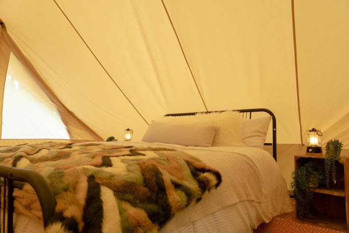 Gaynes Hall | Cambridgeshire | Canopy & Stars