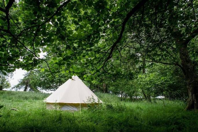 Gaynes Hall | Cambridgeshire | Canopy & Stars