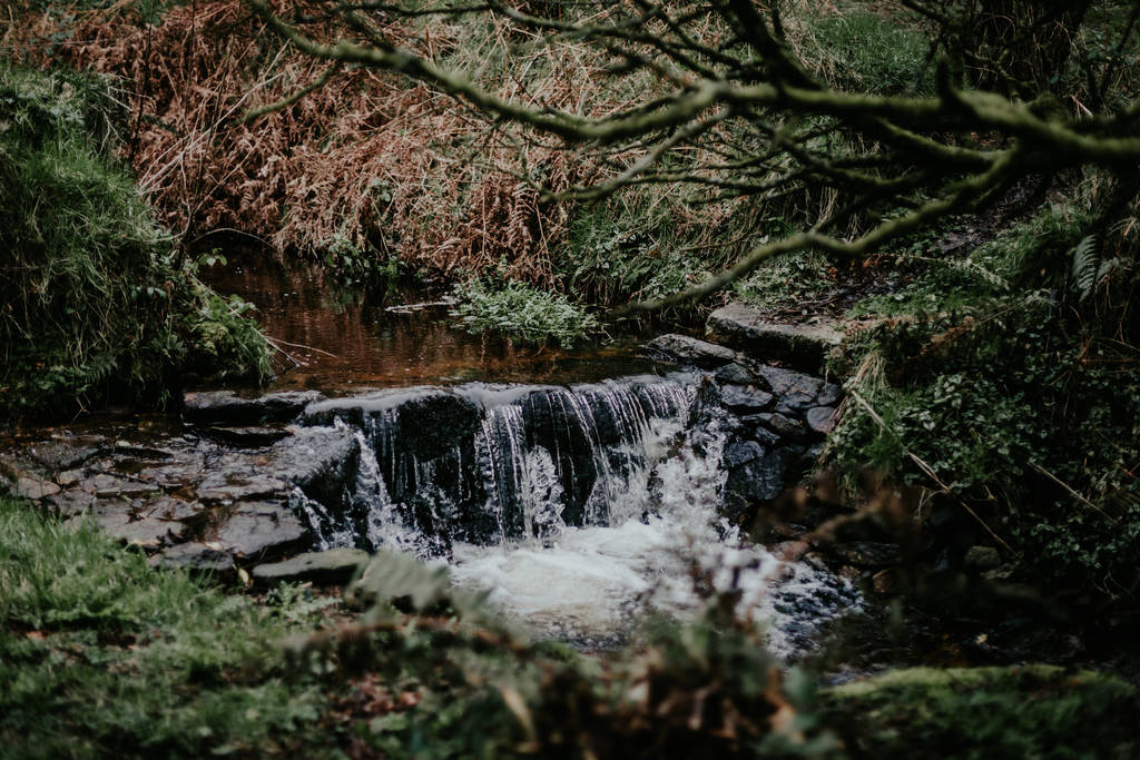 Log Jam | Cabin in Cornwall | Canopy & Stars