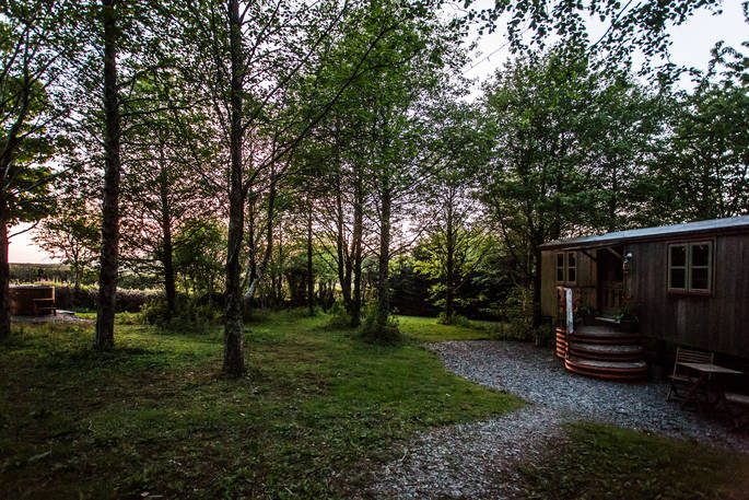 Spring Park | Cornwall | Canopy & Stars