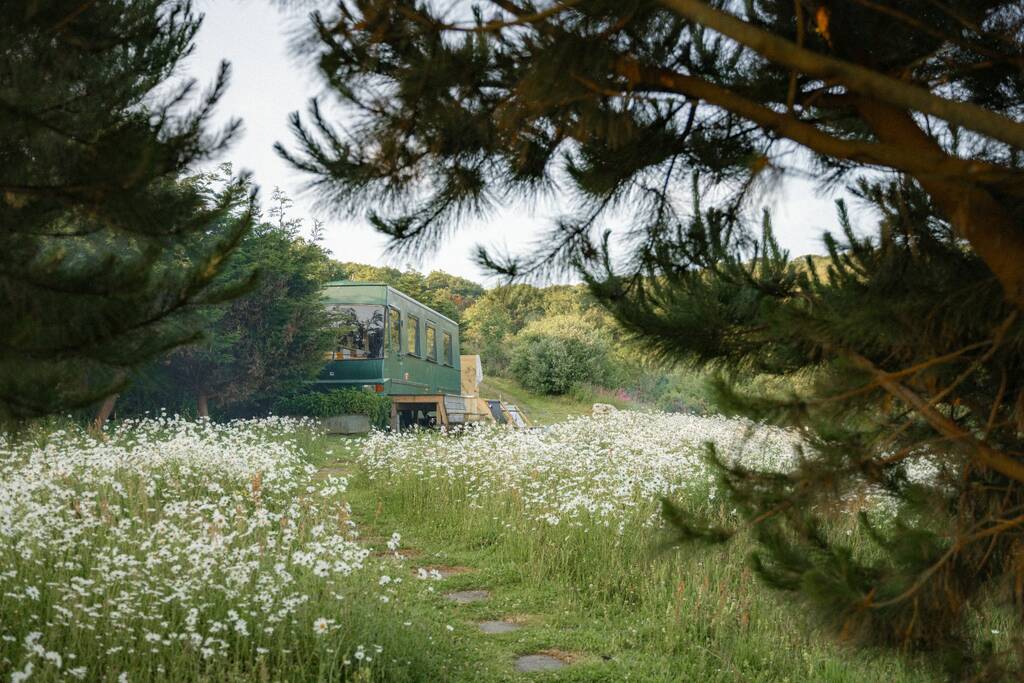Trebus | Bus in Cornwall | Canopy & Stars