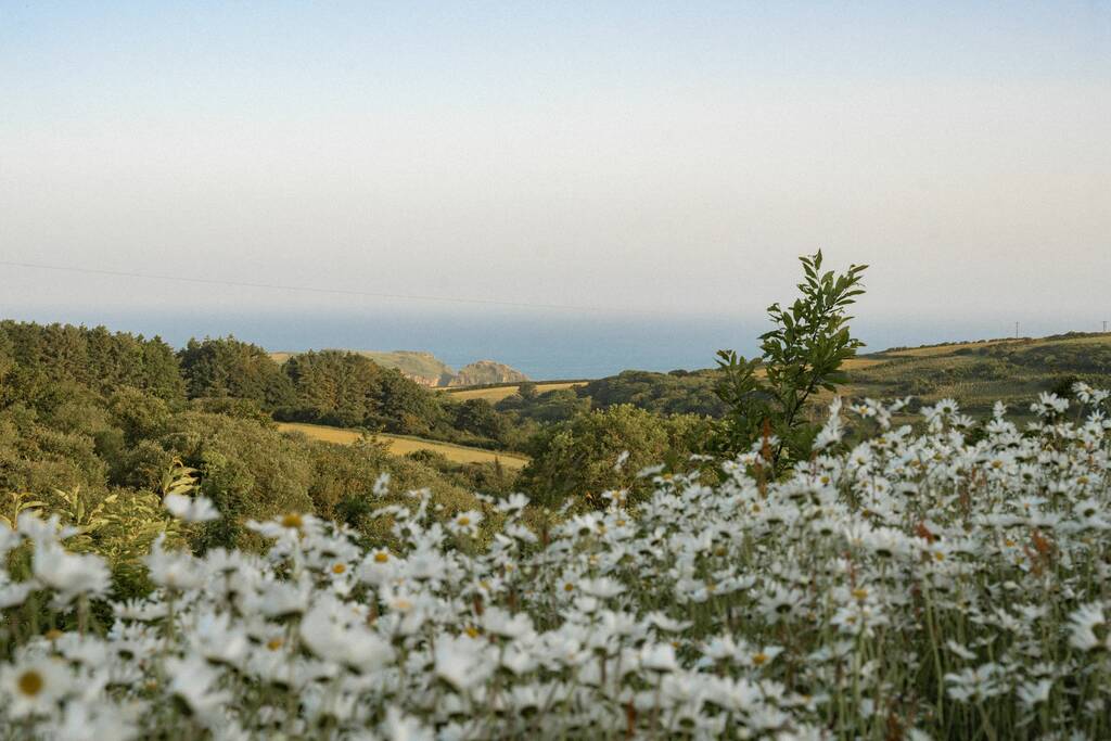 Trebus | Bus in Cornwall | Canopy & Stars