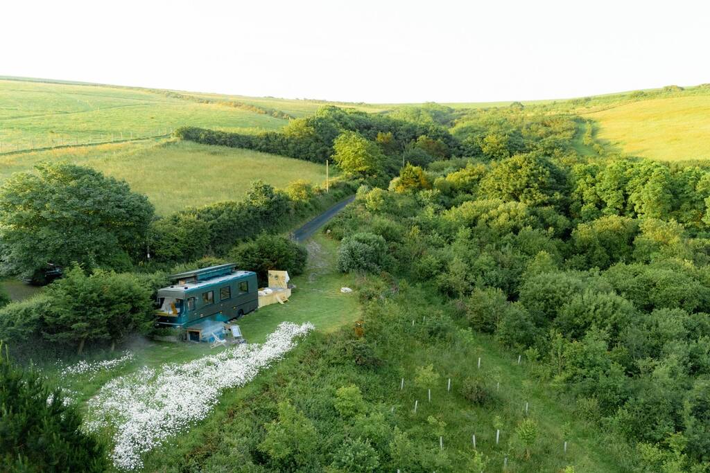 Trebus | Bus in Cornwall | Canopy & Stars