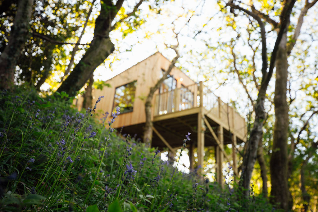 Chui Treehouse | Treehouse in Cornwall | Canopy & Stars