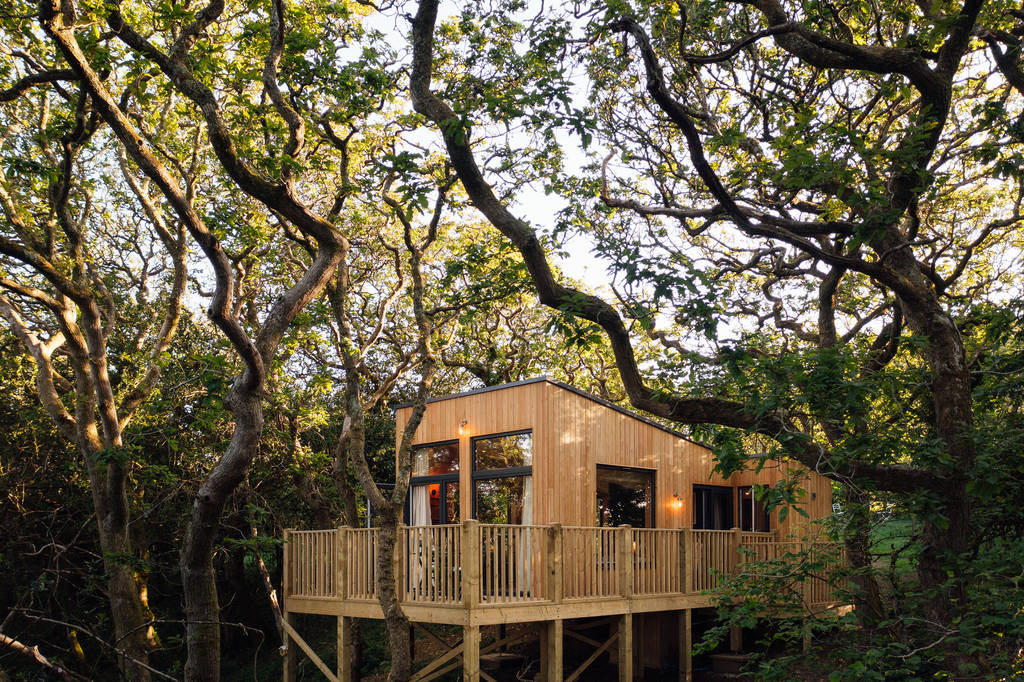 Chui Treehouse | Treehouse in Cornwall | Canopy & Stars