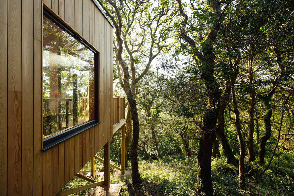 Chui Treehouse | Treehouse in Cornwall | Canopy & Stars