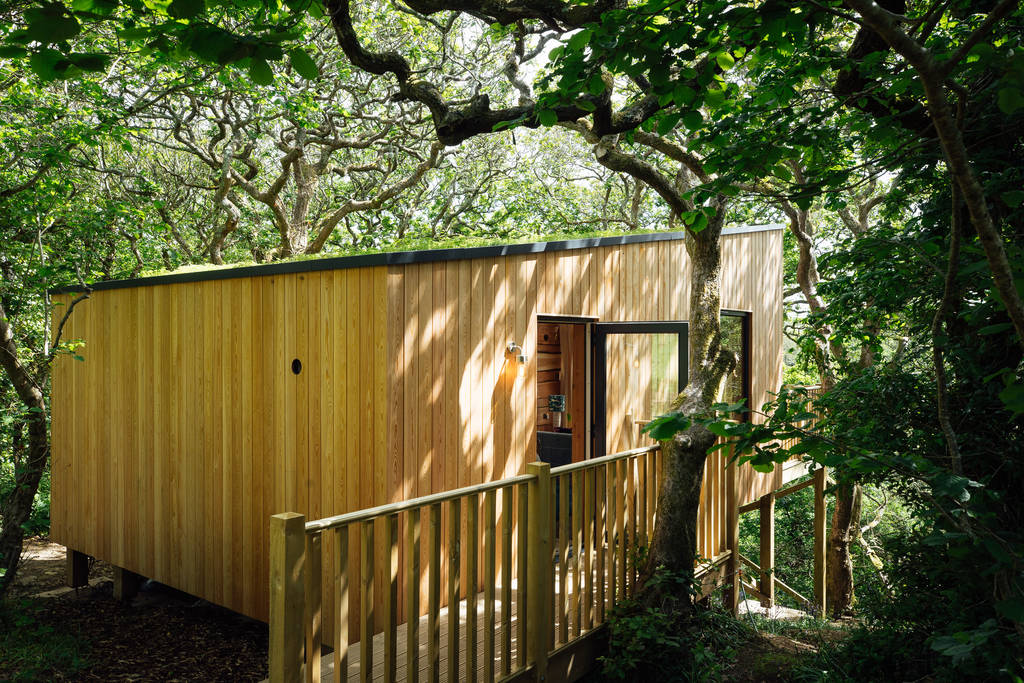 Chui Treehouse | Treehouse in Cornwall | Canopy & Stars