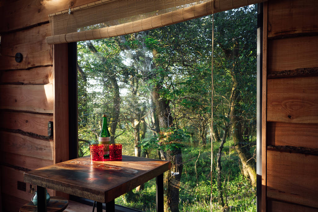 Chui Treehouse | Treehouse in Cornwall | Canopy & Stars