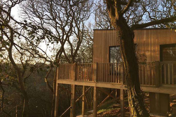 Simba Treehouse | Cornwall | Canopy & Stars