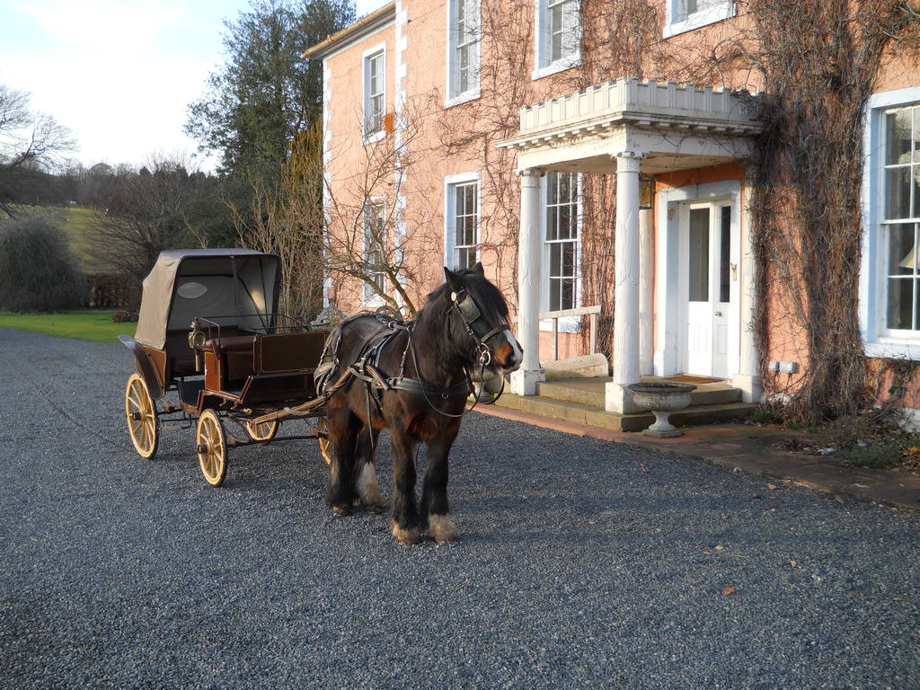 Croglin | Yurt in Cumbria | Canopy & Stars