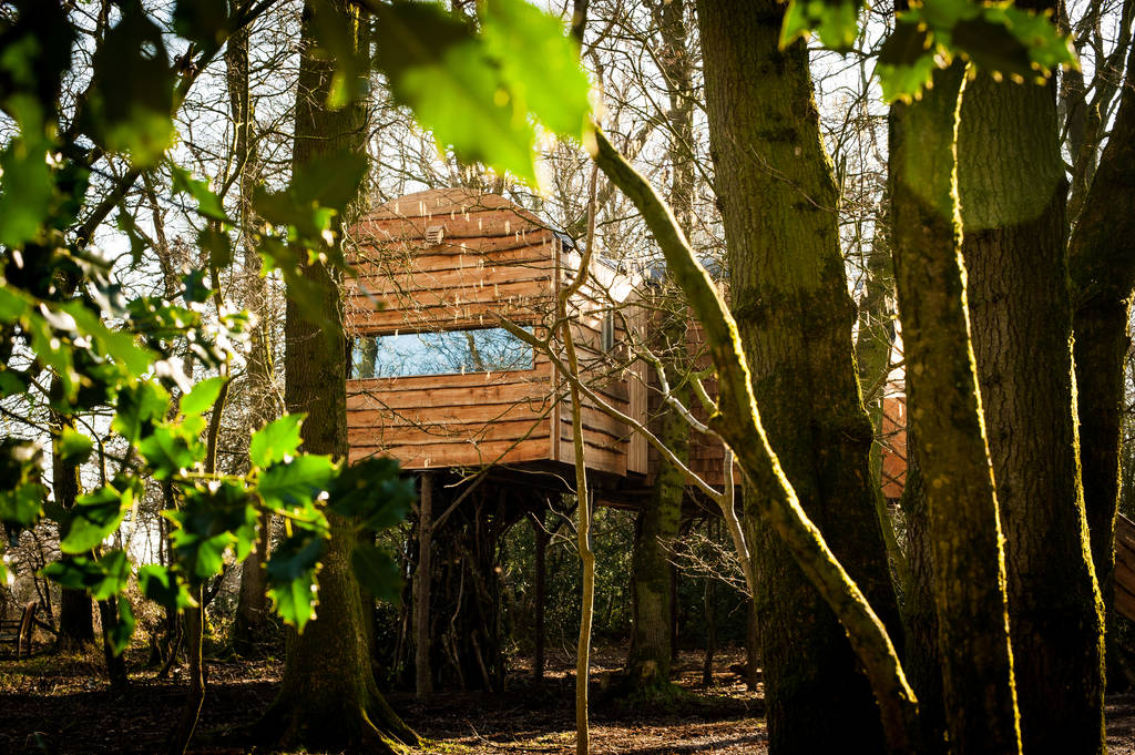 Faraway Treehouse | Treehouse in Cumbria | Canopy & Stars
